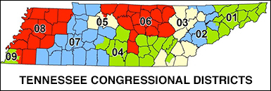 Tennessee Primary Election Results – The ELLIS Insight