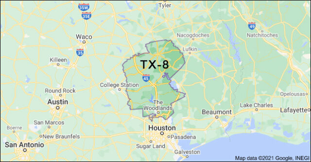 Texas House of Representatives – The ELLIS Insight