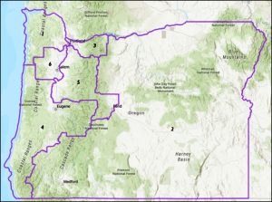Oregon Congressional Redistricting Map – The ELLIS Insight