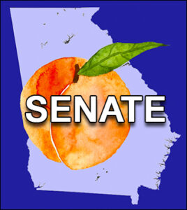 New Georgia Senate Polling – The ELLIS Insight